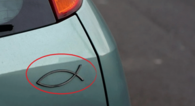 What the Small Fish Symbol on Some Cars Really Means - Best Articles
