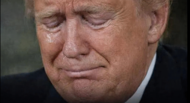 A Reflective Moment From Donald Trump in Washington - Best Articles
